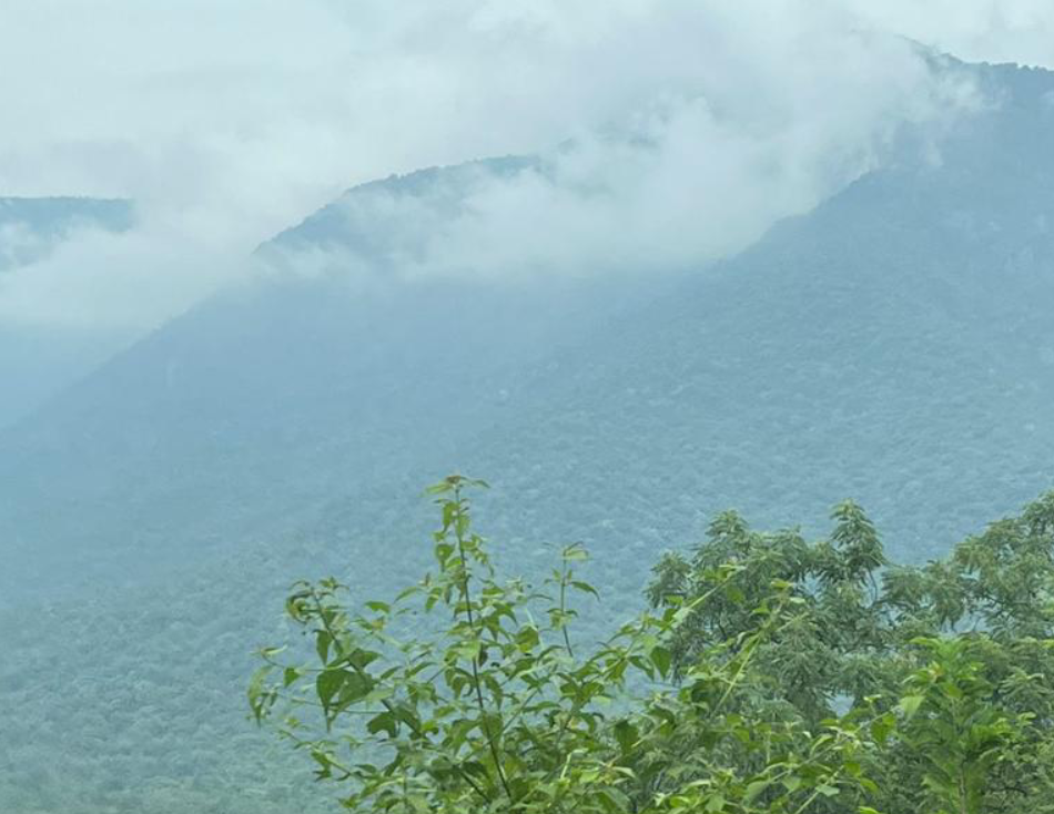 Bargur Hilside Resort