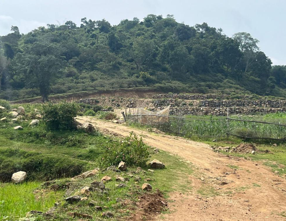 Bargur Hilside Resort