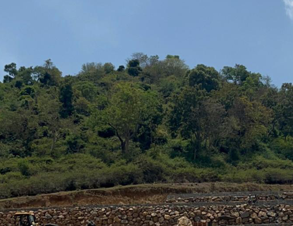 Bargur Hilside Resort